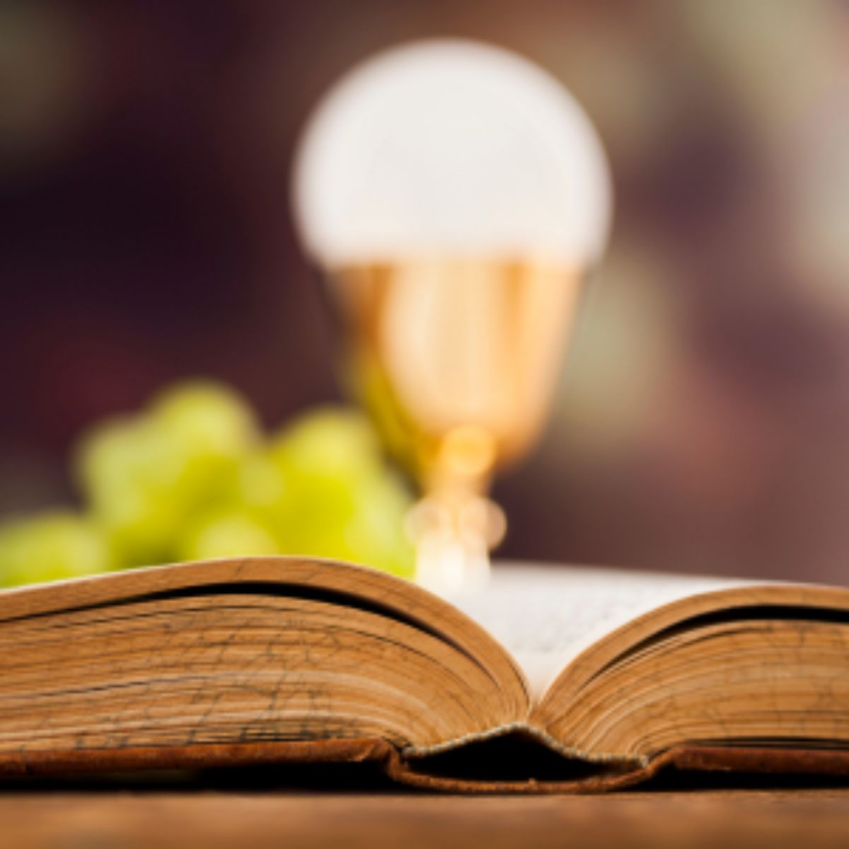 Saints Francis & Clare of Assisi Church & School | Greenwood, IN